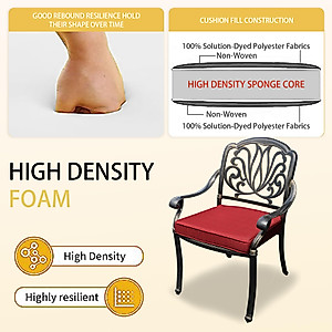 Sunshine Outdoor Patio Cushion Chili Outdoor Chair Pads 20x20 inch with Zipper, Suitable for Patio Furniture and Most Home Depot Furniture 2-Pack