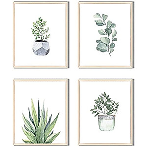 HerZii Prints Botanical Wall Art Prints Set of 4 Wall Pictures Boho Minimalist Plant Floral Leaves Wall Decor Kitchen Eucalyptus Leaf Green Botanical Poster Sets 5 x7 UNFRAMED Multicolor 5 x 7 in