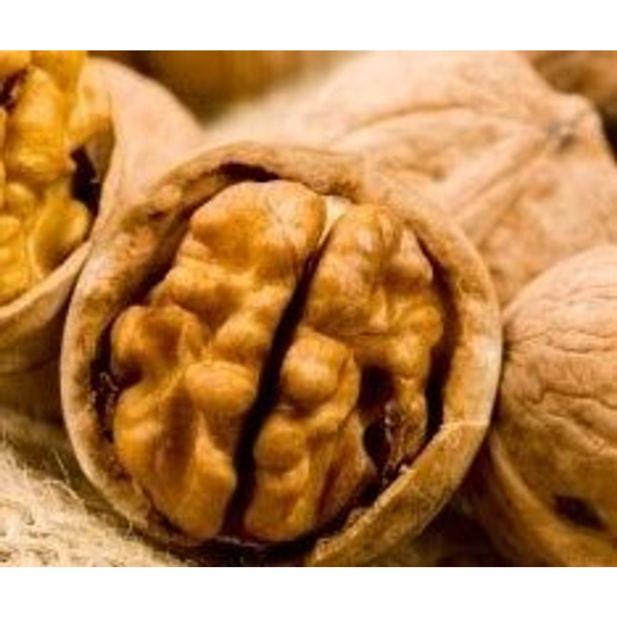In Shell Jumbo Walnuts - 20 lb.