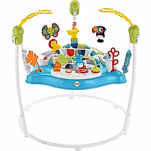 Fisher-Price Baby Bouncer Color Climbers Jumperoo Activity Center with Music Lights & Developmental Toys (Amazon Exclusive)