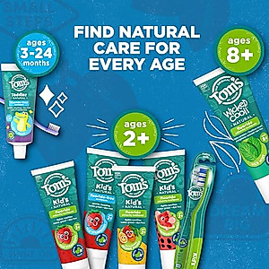 Tom's of Maine ADA Approved Fluoride Children's Toothpaste, Natural Toothpaste, Dye Free, No Artificial Preservatives, Silly Strawberry, 5.1 oz. 3-Pack (Packaging May Vary)