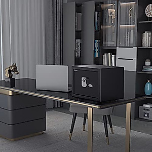 Safe Box, WASJOYE 1.0 Cu ft Biometric Fingerprint Safe Box Fireproof Safe with Finger Identification Key-Lock for Home Office Hotel Valuables Gun Safe Storage