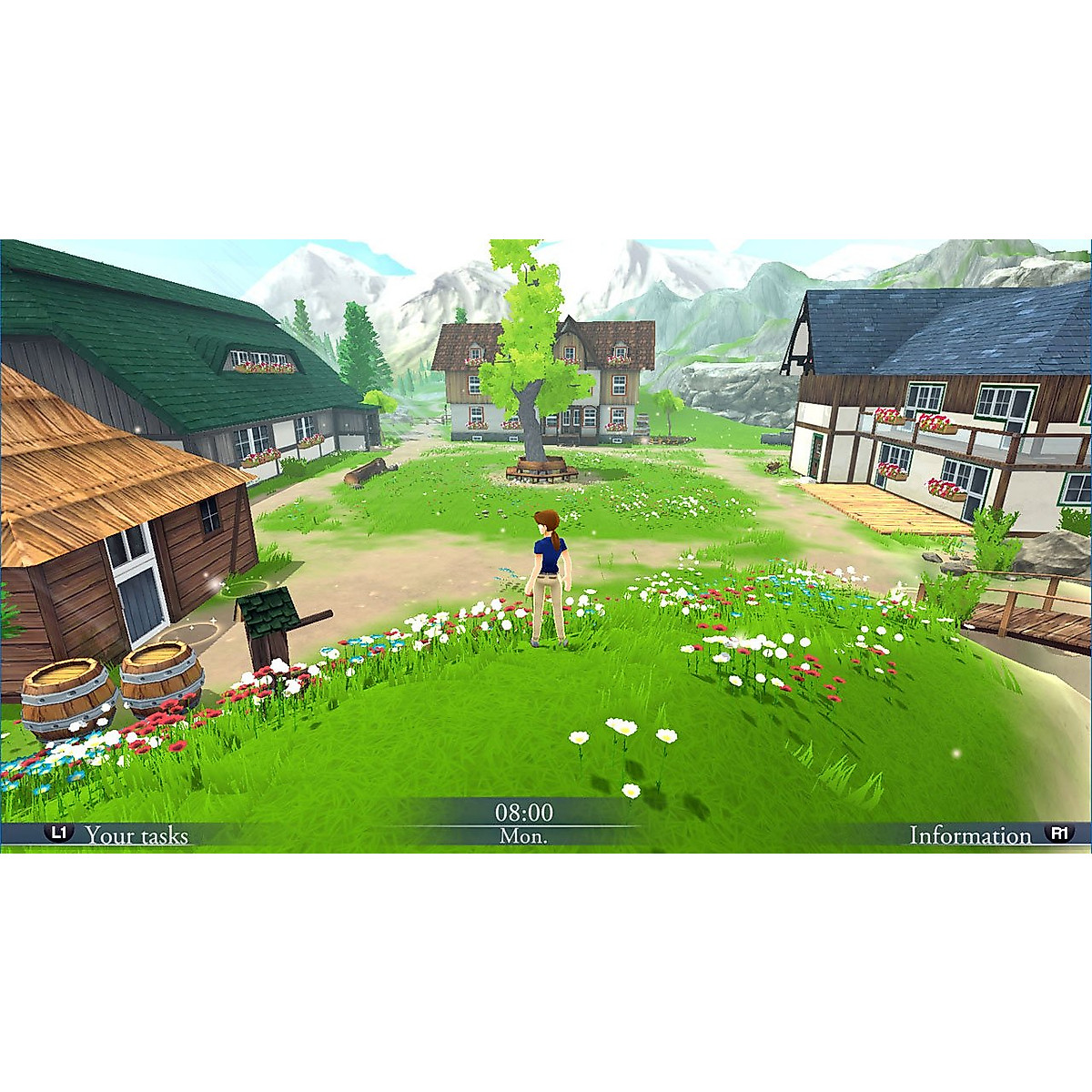 My Riding Stables - Life with Horses - PlayStation 4