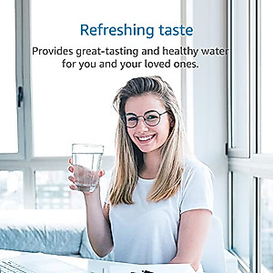 AQUA CREST DW80/90 Under Sink Water Filter, Replacement for Aqua-Pure AP-DW80/90, AP-DWS1000, Kohler K-201-NA, Kohler K-202-NA (Pack of 2), Model No. WF60-80/90