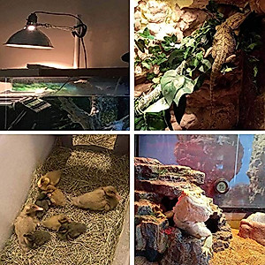 OMAYKEY 50W 2 Pack Basking Spot Heat Lamp Bulb Soft White Glow UVA Glass Cover Heat Lamp/Bulb/Light for Lizard Chameleon Bearded Dragon Snake Aquarium Reptile & Amphibian