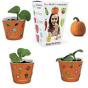 Window Garden Sow Much Fun Seed Starting, Vegetable Planting and Growing Kit for Kids, 3 Self Watering Planters, Soil, Seeds and Puffy Stickers. No Mess, Easy, Works Great! (Cucumber) & (Pumpkin)
