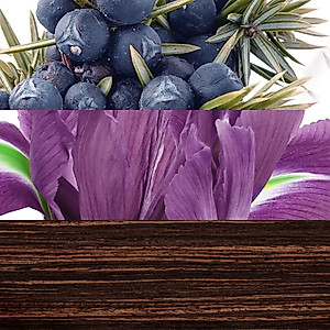 Davidoff The Game Eau de Toilette Spray for Men, 3.4 Ounce