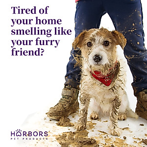Harbor's Pet Cologne (Clean Cool Water)