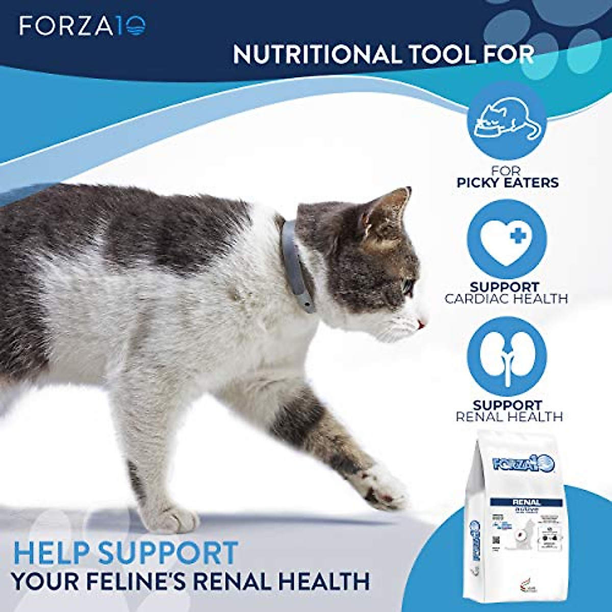 Forza10 Active Kidney Renal Diet Dry Cat Food for Adult Cats, Kidney Care Cat Food for Heart and Kidney Problems, Wild Caught Anchovy Flavor, 4 Pound Bag