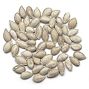 The Old Farmer's Almanac Heirloom Winter Squash Seeds (Waltham Butternut) - Approx 40 Seeds - Non-GMO, Open Pollinated, USA Origin