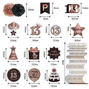 BRT Bearingshui Happy 13th Birthday Hanging Swirls Streamers Decoration Set, Happy Birthday Banner with Tissue Pompoms, Rose Gold and Black 13 Years Old Birthday Party Hanging Backdrop Decorations
