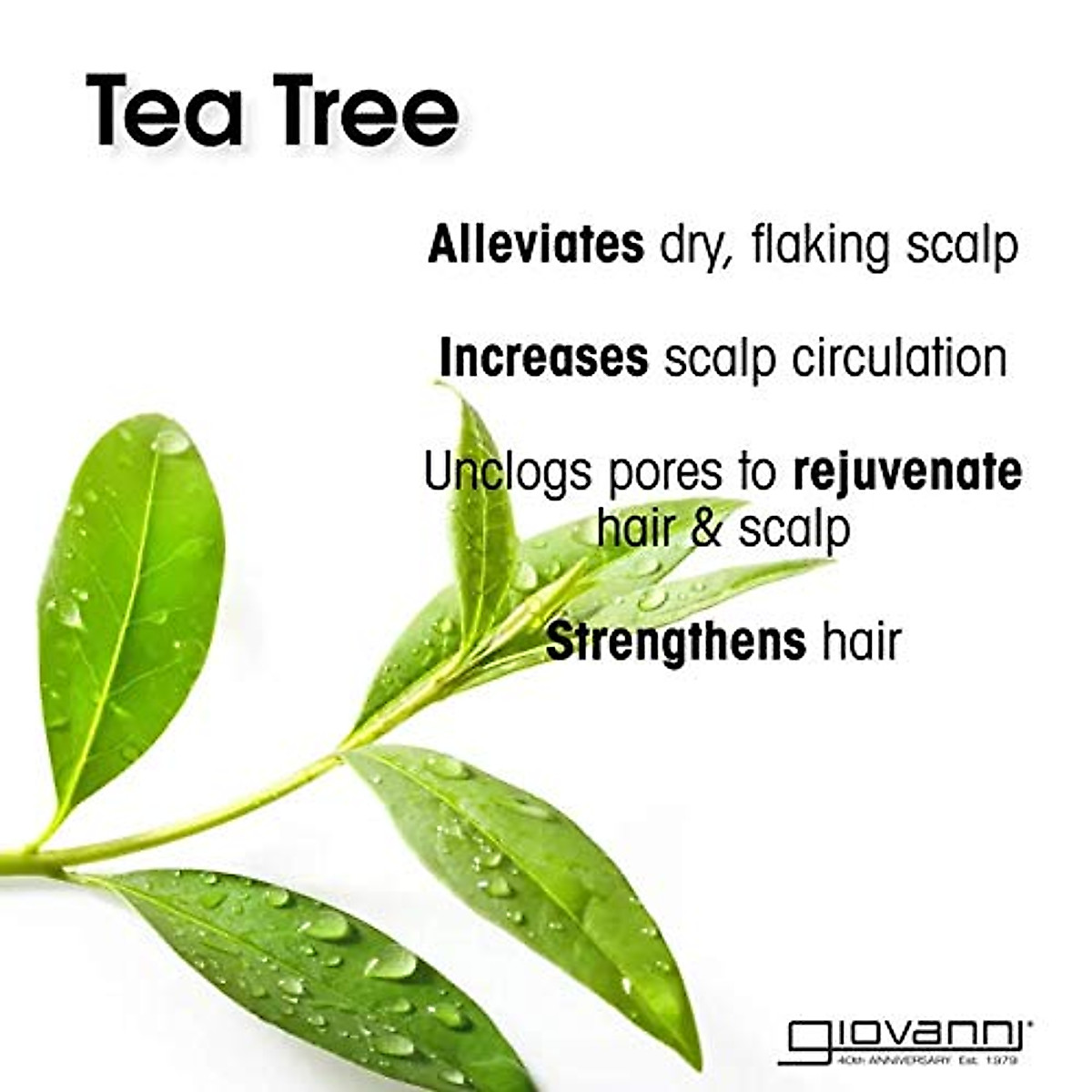 GIOVANNI Tea Tree Triple Treat Invigorating Shampoo & Conditioner Set - Cooling Peppermint, Eucalyptus, Rosemary, Helps Dry, Flaky Scalp, Salon Quality, Vegan, Cruelty Free - 8.5 oz Each