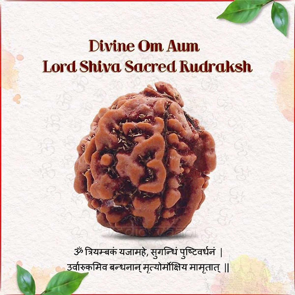 Vedic Vaani Natural Divine Sacred Om Aum Lord Shiva Rudraksh (1 Pcs)