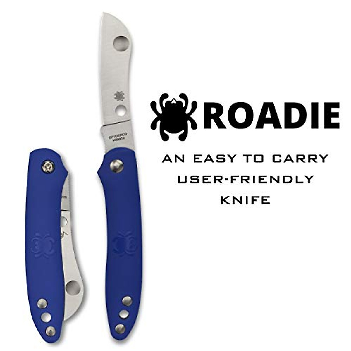 Spyderco Roadie Non-Locking Lightweight Knife with 2.09" N690Co Stainless Steel Blade and Durable Blue FRN Handle - PlainEdge -C189PBL