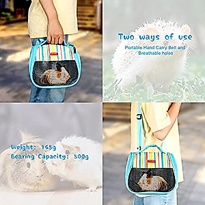 Rypet Guinea Pig Carrier Bag - Portable Breathable Outgoing Bag for Guinea Pig Hedgehog Squirrel Chinchilla and Other Similar Sized Animal