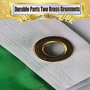 tnpun Irish Flag 3x5 Outdoor Heavy Duty Ireland Flags Double Sided Vivid Color National Country Flags 210D Nylon Cloth with 2 Brass Grommets 4 Rows of Stitches