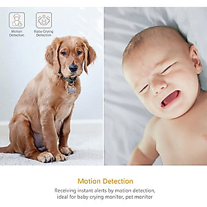 Kami Home Security Camera System 1080P HD Indoor Smart Cam, Motion-Activated with 2.4G/5G Dual-Band Wi-Fi, YI Home APP - Compatible with Alexa and Google Assistant