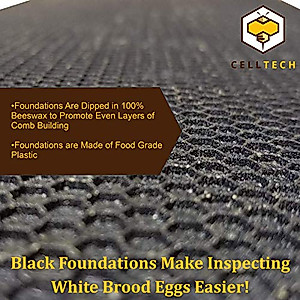 Hoover Hives - Deep Frames & Foundations (10 Pack)