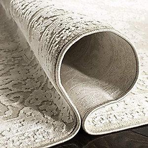 SAFAVIEH Reflection Collection 8' x 10' Cream/Ivory RFT664D Boho Tribal Distressed Living Room Dining Bedroom Area Rug