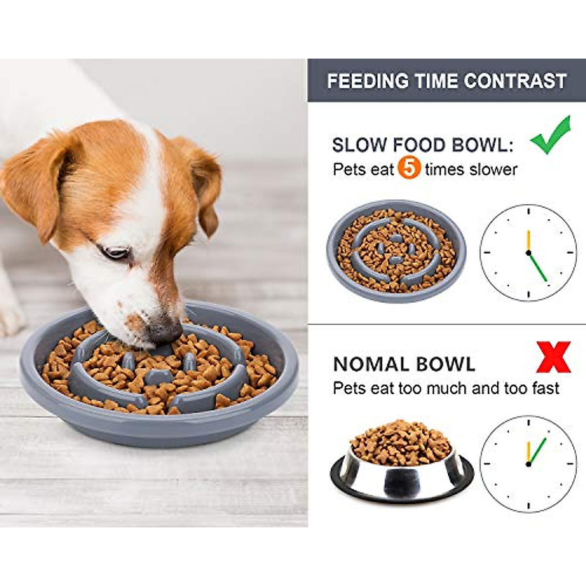 Pecute Dog Bowl Slow Feeder Bloat Stop Pet Bowl Eco-Friendly Non-Toxic No Choking Healthy Design Bowl with No-Spill Non-Skid Silicone Mat Stainless Steel Water Bowl for Dogs Cats and Pets