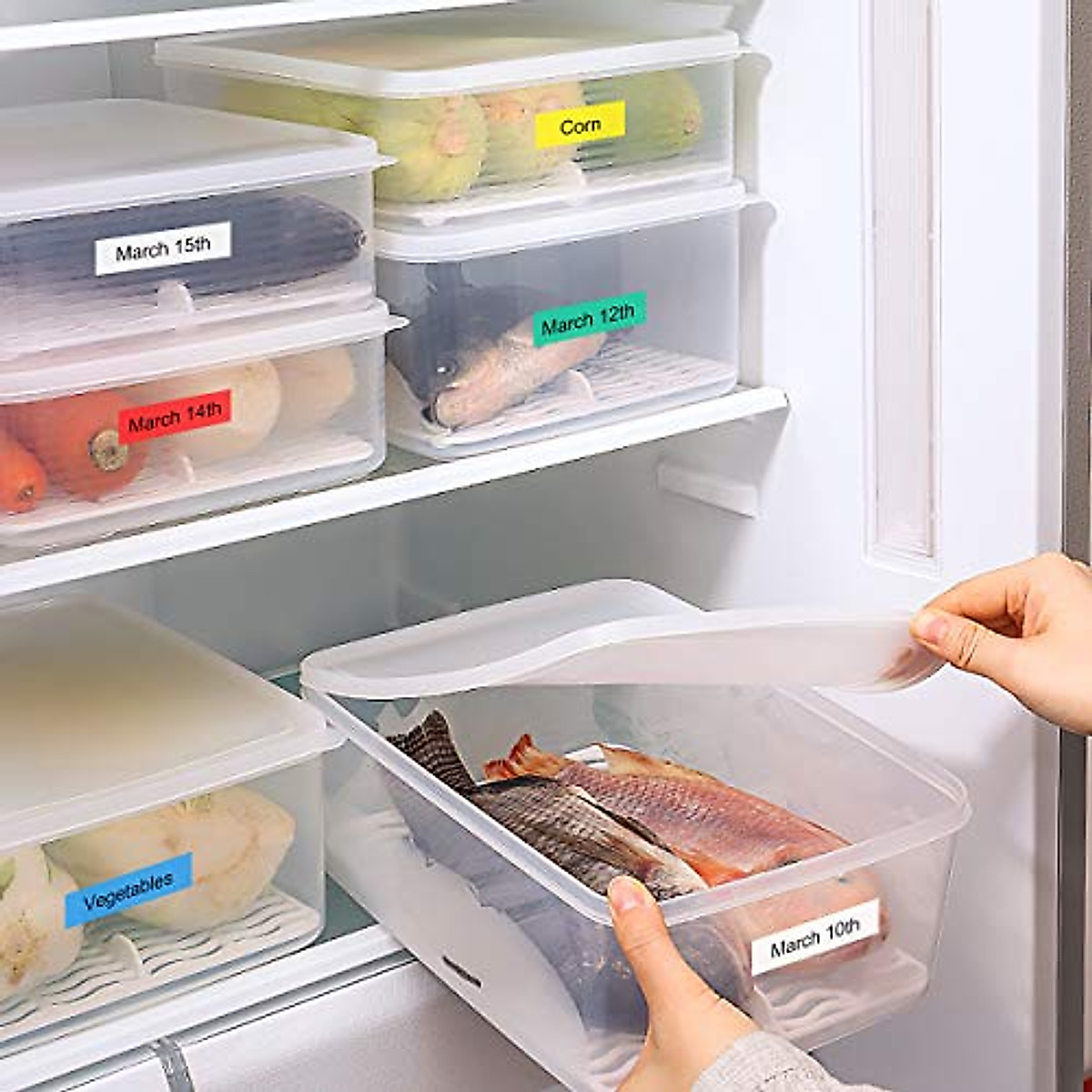 Replacement for Dymo Label Maker Refills LetraTag Plastic Label Tape Compatible with Dymo LetraTag LT-100H LT-100T QX50 200B 2000, 91331 91332 91333 91334 91335, 12mm x 4m 1/2" x 13', 5 Pack