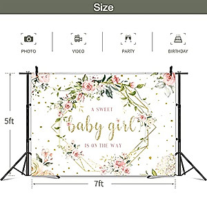 Omifly Baby Girl Backdrop for Baby Shower Floral Sweet 7x5ft Photography Wall Pink Rose Flower Green Eucalyptus Leaves Gold Dot Background Newborn Pregnancy Party Decorations Photo Booth Studio Props