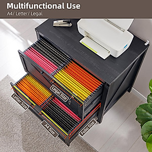 JXQTLINGMU 2 Drawer Farmhouse File Cabinet, Lateral Filing Cabinet with Lock for Home Office, Compatible Legal Letter A4 F4 Size, Black