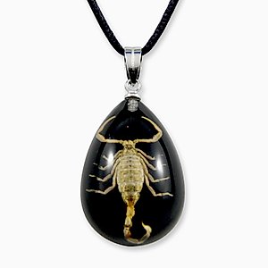 REALBUG Gold Scorpion Necklace, Black, Small