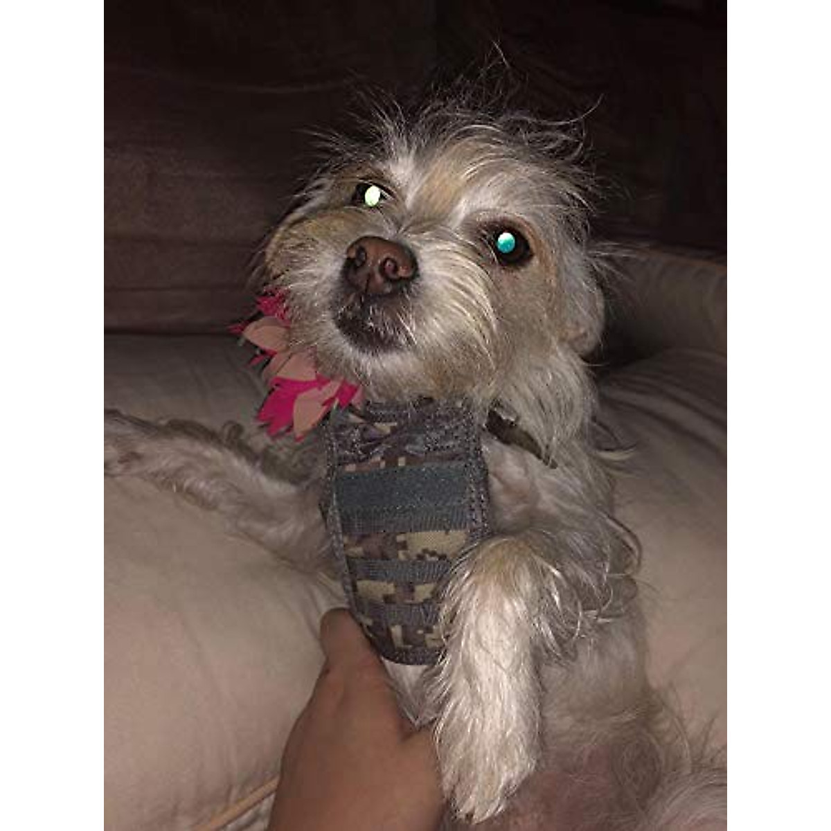 Ferret Clothes Small Animals Harness Military Style Adjustable Shoulder Straps Soft Mesh Comfort Durable Nylon Padded Vest Ferret Guinea Pig Hamster Bunny Kitten Puppy Small Pet Clothes Accessory