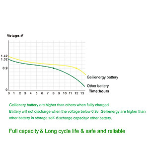 GEILIENERGY Solar Light Batteries AAA NiCd AAA 1.2V 600mAh Triple A Rechargeable Batteries for Solar Lamp Garden Lights (Pack of 12)