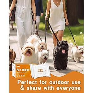 FriPuP Dog Eye Wipes, Travel Size Pet Wash Pads for Ear Face Wrinkle Cleaning, Gentle Tear Stain & Eye Discharge Remover for Cats Kitten Puppy, Essential Small Dog Items, Soft 100 Count (Pack of 2)