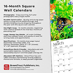 Texas Nature | 2023 12 x 24 Inch Monthly Square Wall Calendar | Foil Stamped Cover | BrownTrout | USA United States of America Southwest State Wilderness