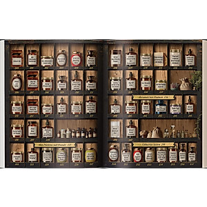 Forgotten Home Apothecary : 250 Powerful Remedies at Your Fingertips