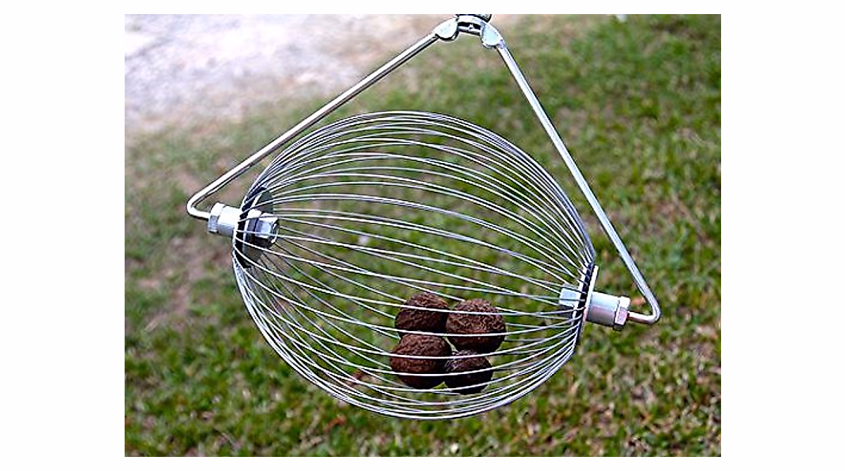 Large Nut Wizard- Nut Picker Upper for Black Walnuts and Sweet Gumball ...
