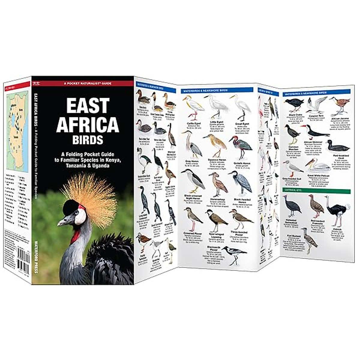 East Africa Birds: A Folding Pocket Guide to Familiar Species in Kenya, Tanzania & Uganda (Nature Observation International)