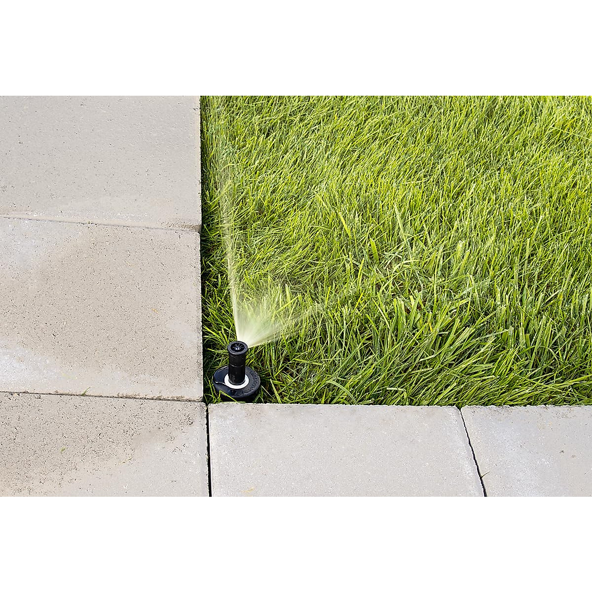 Orbit 54535 2" Professional Pop-Up Spray Head Sprinkler with Quarter Pattern Nozzle