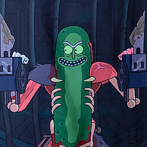 Calhoun Rick and Morty Door Banner (25" by 75") (Pickle Rick)