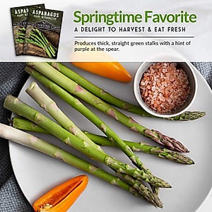 Survival Garden Seeds - Mary Washington Asparagus Seed for Planting - Packet with Instructions to Plant and Grow Long Lasting Perennials in Your Home Vegetable Garden - Non-GMO Heirloom Variety