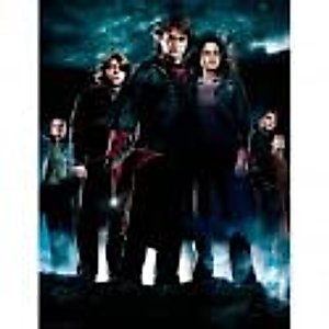 Harry Potter - Impression en Verre - Group HP4-30X40 Cm