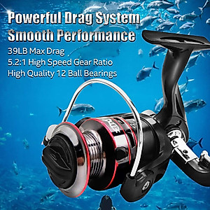 Fishing Reel, Spinning Reel, Ultralight 5.2:1 Gear Ratio, 12 Ball Bearings, 39.5LB Carbon Fiber Drag, Reversible Handle for Left and Right Retrieve, Perfect for Freshwater and Saltwater (H2000)