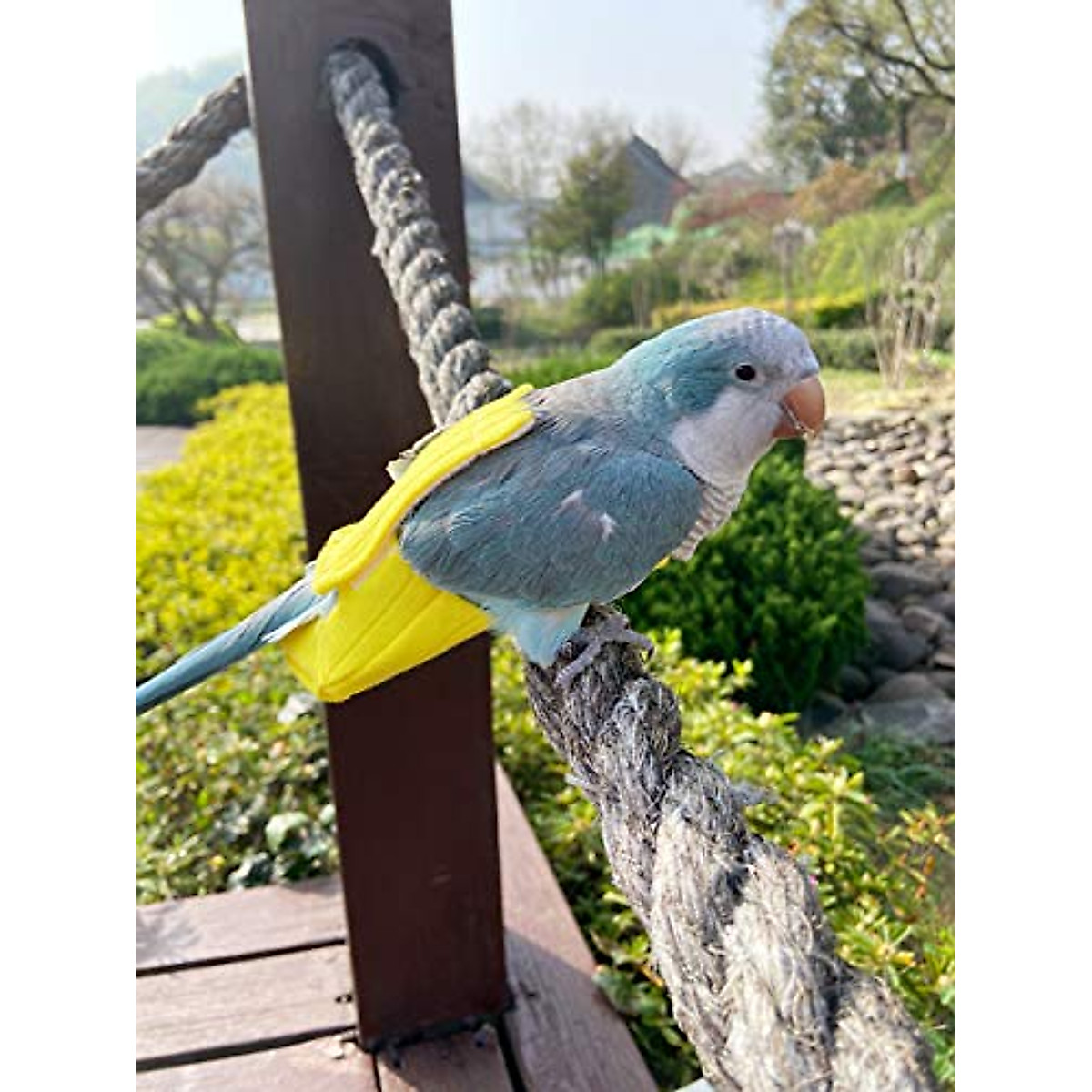 HEZHUO Parrot Bird Diapers, Birds Flight Suit, Parrot Clothes, Pet Animal Costumes, Bird Clothes, Cockatiel Bird Diaper, Pet Bird Diapers, Parrot Flight Suit, Bird Parrot Clothes (Yellow, M)