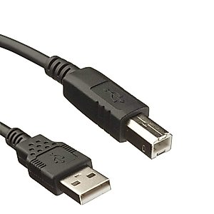 RiteAV 6 inch USB 2.0 A Male to B Male Cable - Black