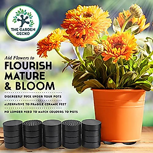The Garden Gecko Invisible Pot feet for Outdoor Plant pots and Flowers. Solid Rubber Pot risers with Enhanced Grip | 20 Pack.