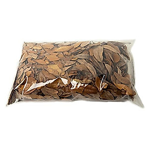 Live Oak Leaf Litter (1 Gallon)