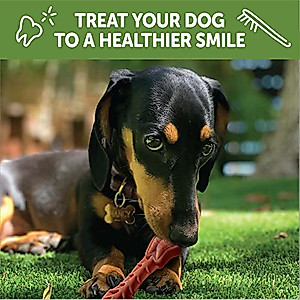 WHIMZEES Natural Grain Free Daily Dental Dog Treats, Brushzees, Extra Small, Bag of 28