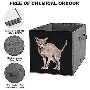 Hairless Sphynx Cat Collapsible Storage Bins Basics Folding Fabric Storage Cubes Organizer Boxes with Handles