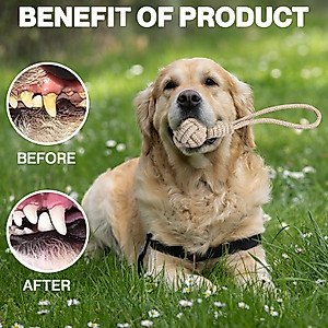 Dog Rope Tug of War Toys for Large, Medium and Small Dogs. 2 Pack Natural Cotton Toys for Teething.Flosses Teeth, Premium Beige Knot, Gum Stimulation for Teething Puppies.