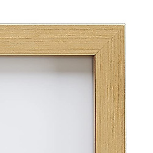 Amazon Basics Rectangular Photo Picture Frame, 5" x 7", Pack of 5, Gold, 6.2 x 8.2 inches