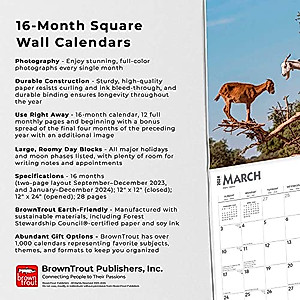 Goats in Trees | 2024 12 x 24 Inch Monthly Square Wall Calendar | BrownTrout | Domestic Funny Farm Animals
