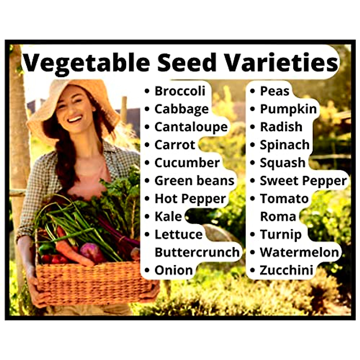 20 Vegetable & Fruit Seeds for Planting Your Outdoor & Indoor Home Seed Garden, Survival Gear Kit Includes 2900 Seeds, A Growing Guide & Mylar Package Gardening Heirloom Non-GMO Veggie Seed B&KM Farm